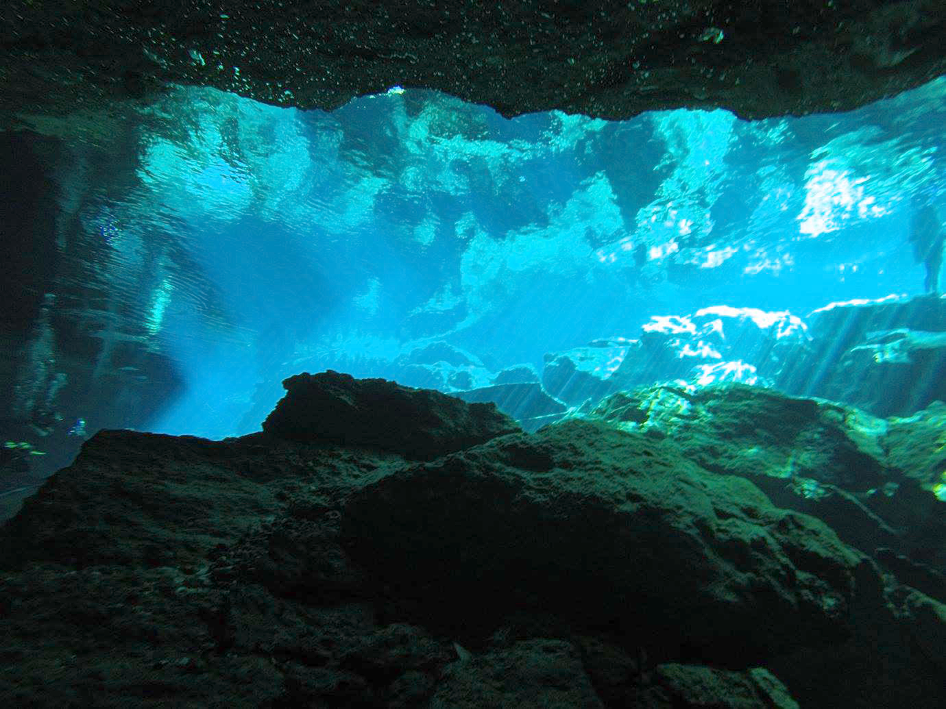 Scuba Diving Mexico’s Great Barrier Reef! – The Impulsive Traveler
